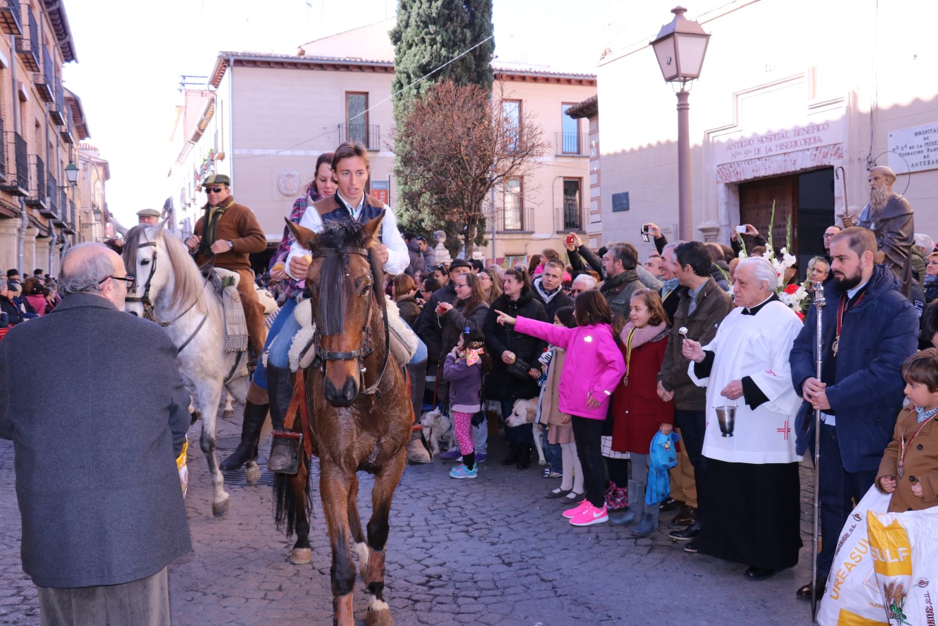 Fiesta de San Antón 2016 en Alcalá de Henares - Dream Alcalá
