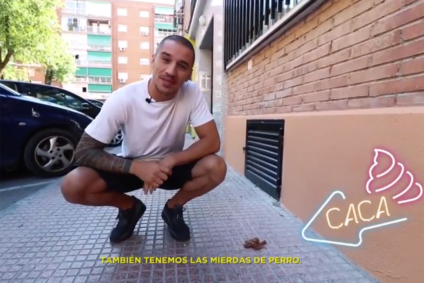 ¿Cuánto se gasta Alcalá en limpiar cacas de perro? - Dream Alcalá