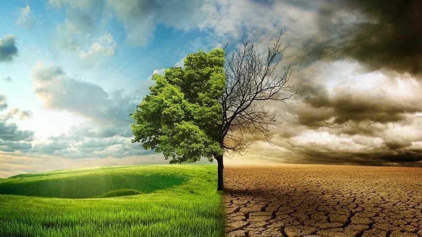 Henares por el Clima critica la moción sobre emergencia climática ...