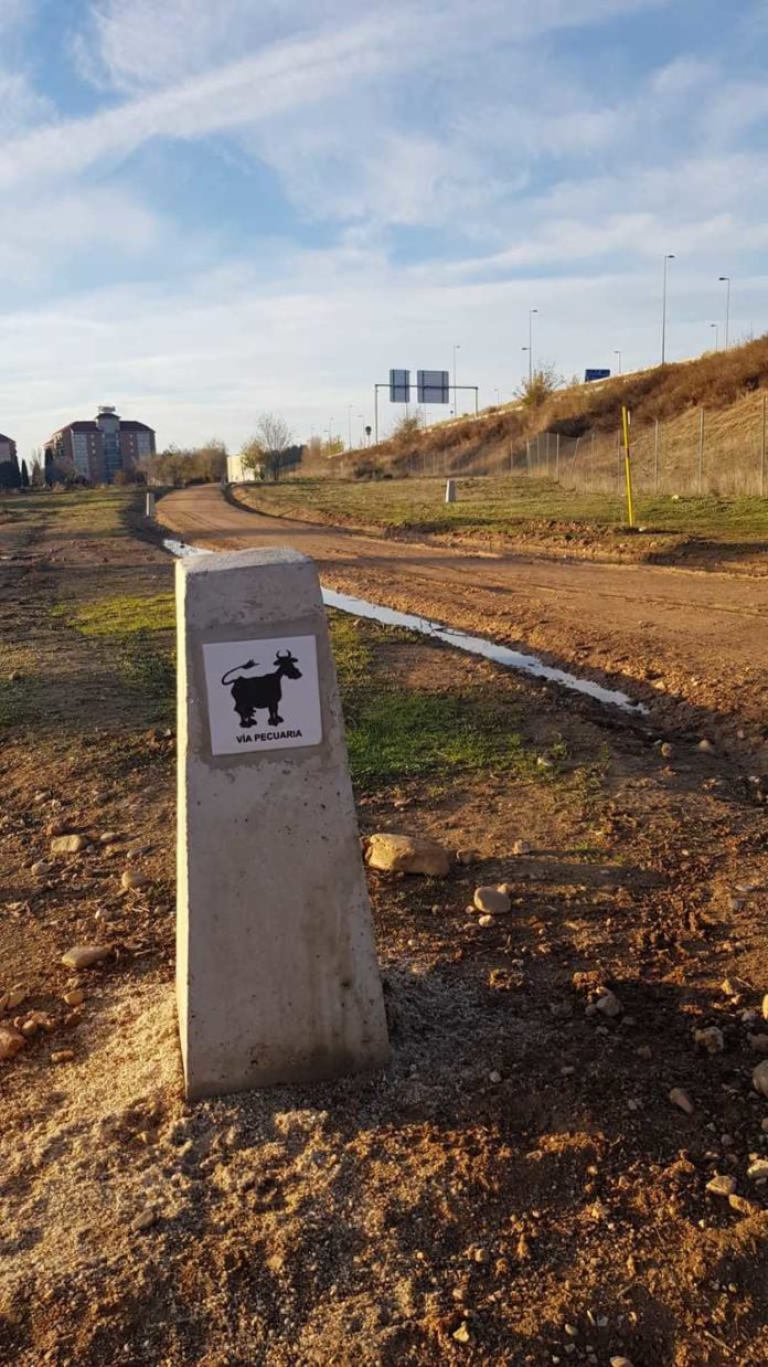 Protección y conservación de los más de 4.000 kilómetros de vías ...