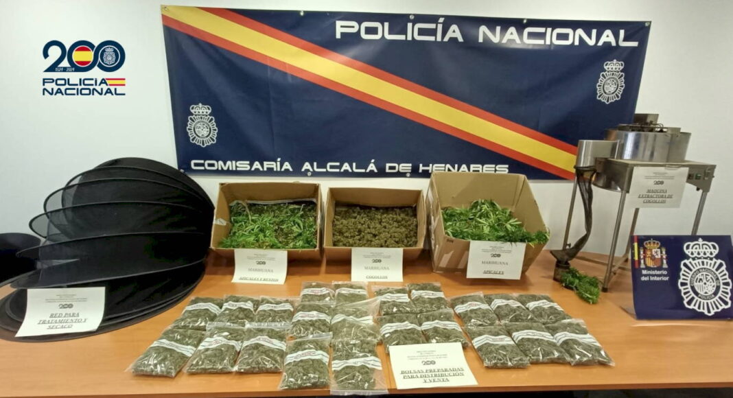 La Policía Nacional desmantela en Alcalá de Henares una plantación de marihuana regentada por ...